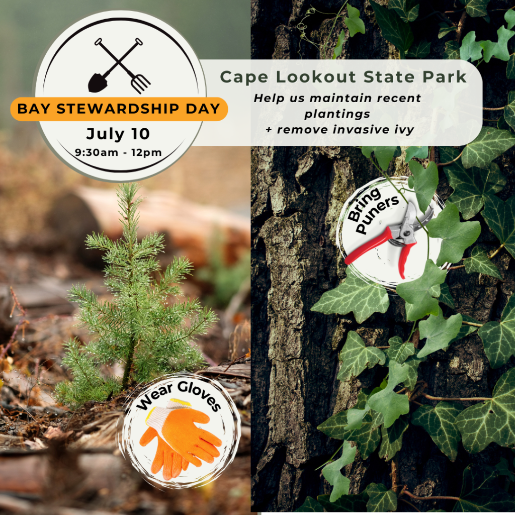 Bay Stewardship Day – Manzanita Oregon Visitor Center